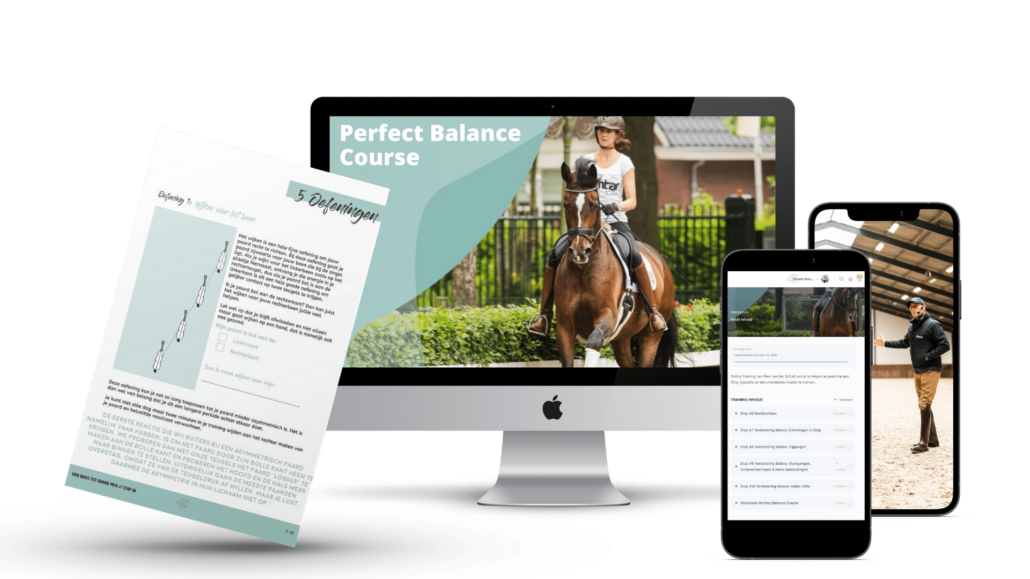 Rien van der Schaft's Dressage Training