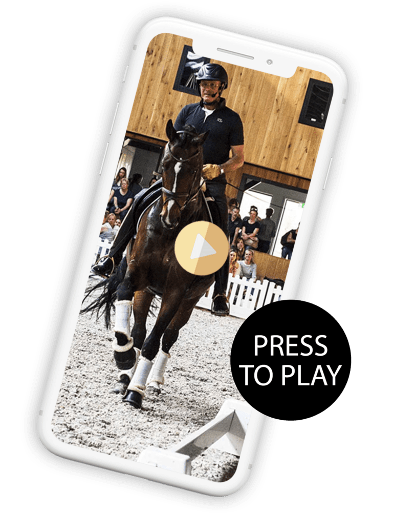 Rien van der Schaft's Dressage Training